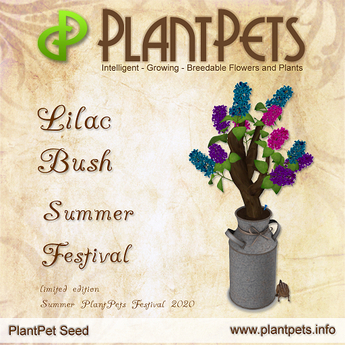 Second Life Marketplace - PlantPet Seed [Lilac Bush *Summer Festival*]